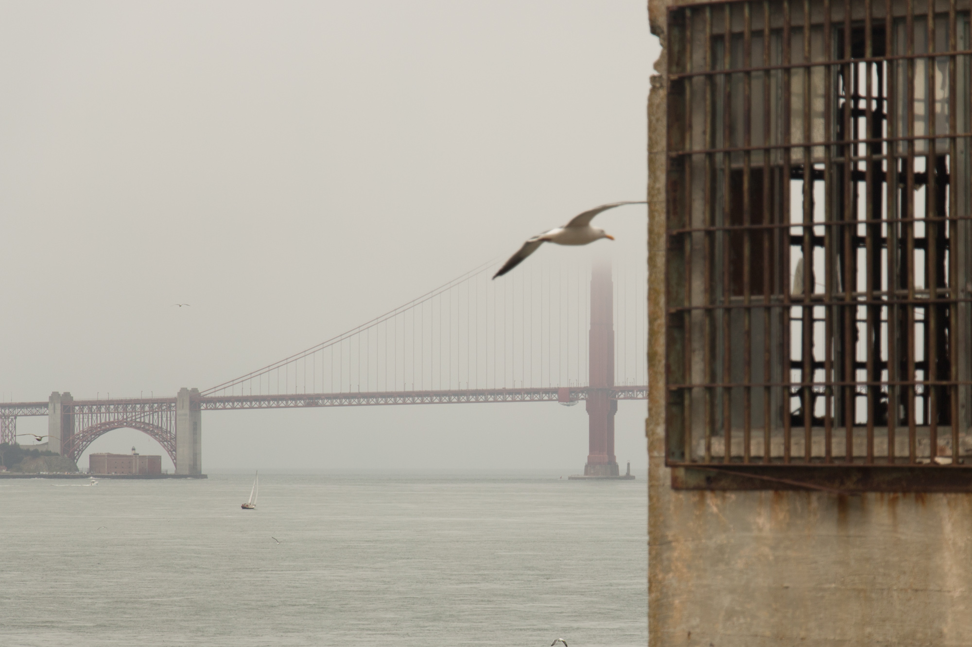 Habitats – Rex Winterbottom