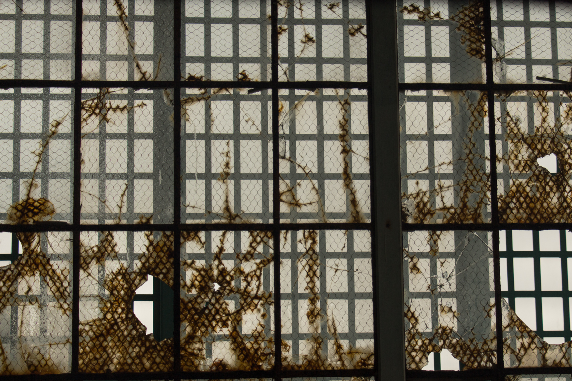 Habitats – Rex Winterbottom