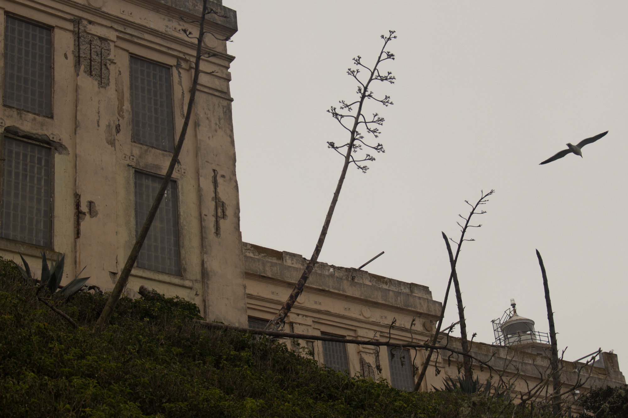 Habitats – Rex Winterbottom