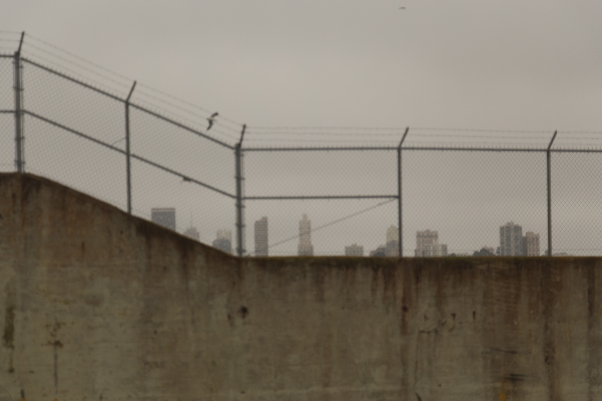 Habitats – Rex Winterbottom