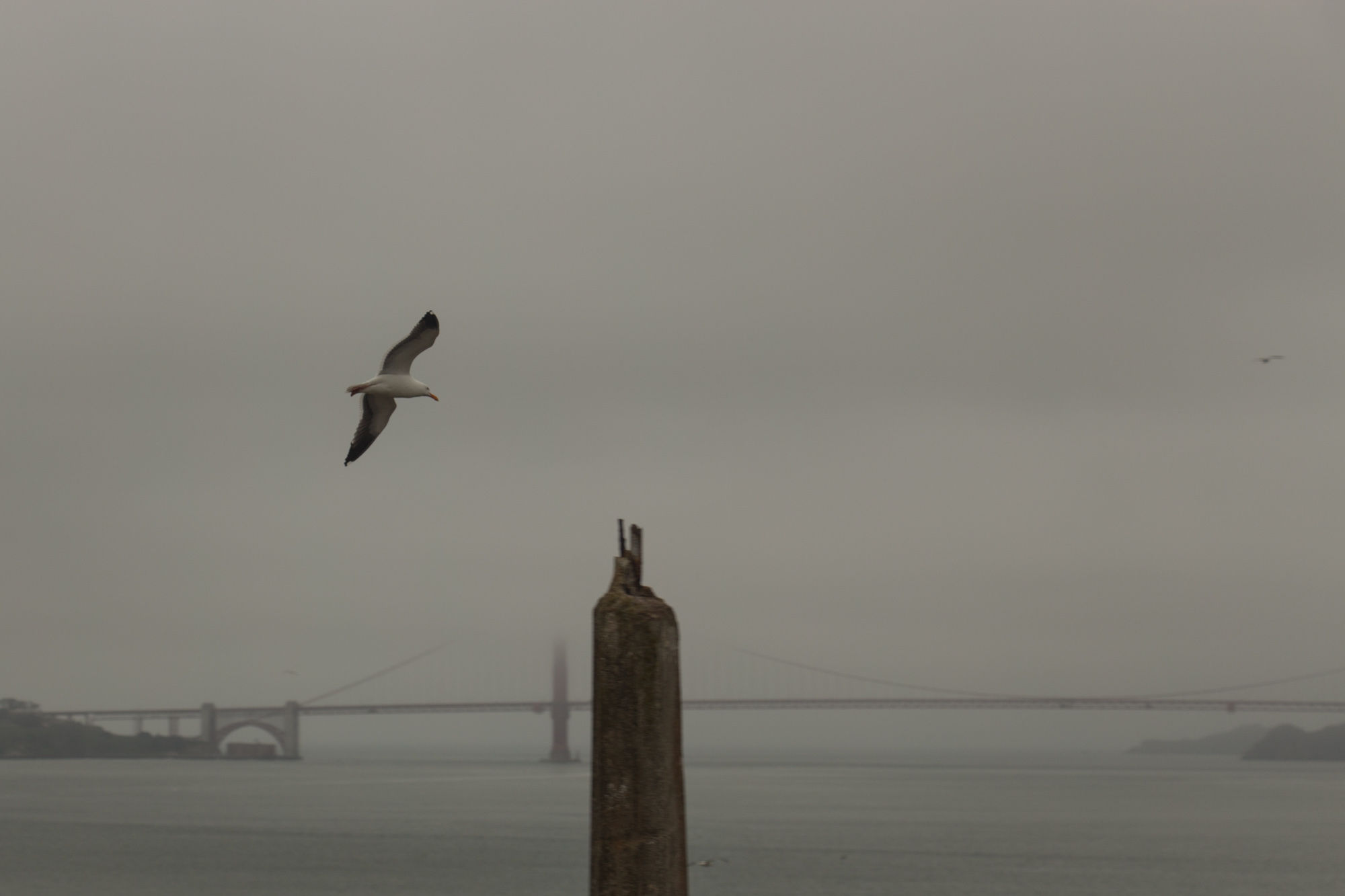 Habitats – Rex Winterbottom